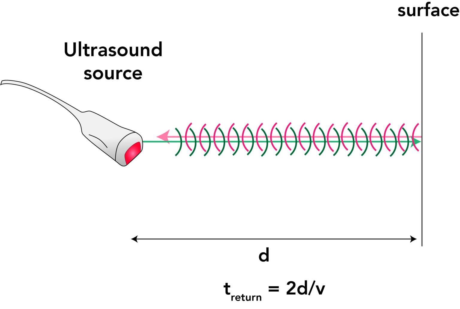 Lesson 1: How Are Ultrasound Images Produced? – Echo Physics