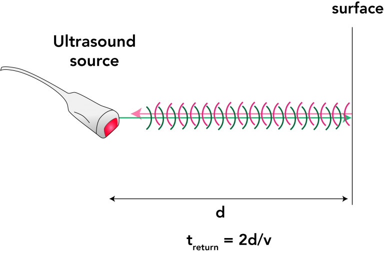 Lesson 1: How Are Ultrasound Images Produced? – Echo Physics